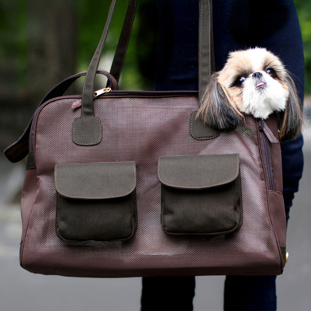 Dog Booties Guide - Dog Boot Size Chart – Canine Styles