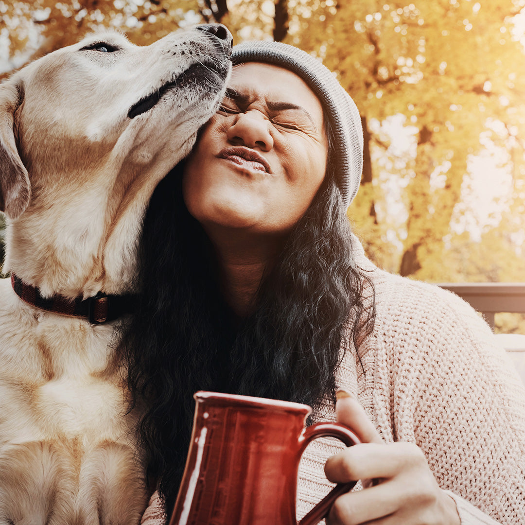 The Science Behind Dogs Detecting Human Emotions – Canine Styles