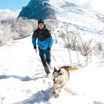 Dog Booties Guide - Dog Boot Size Chart – Canine Styles