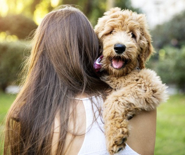 Canine Styles Guide to Dogs and Dating