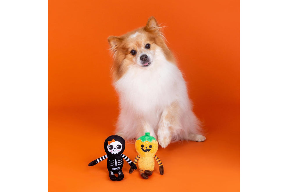 Halloween - Oh My Gourd - Pumpkin & Skeleton - Dog Toy – Canine Styles