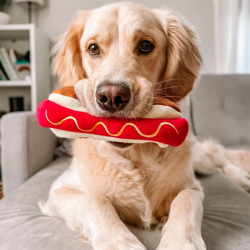 Dog Toy - Hotdog Toy – Canine Styles