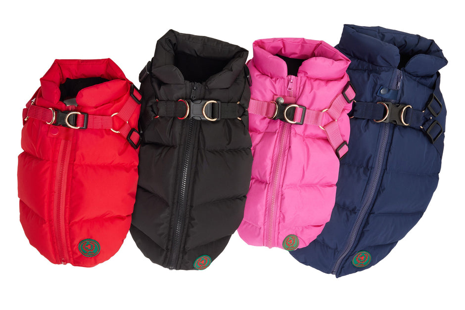 Canine Styles: a Lifestyle Brand for dogs!