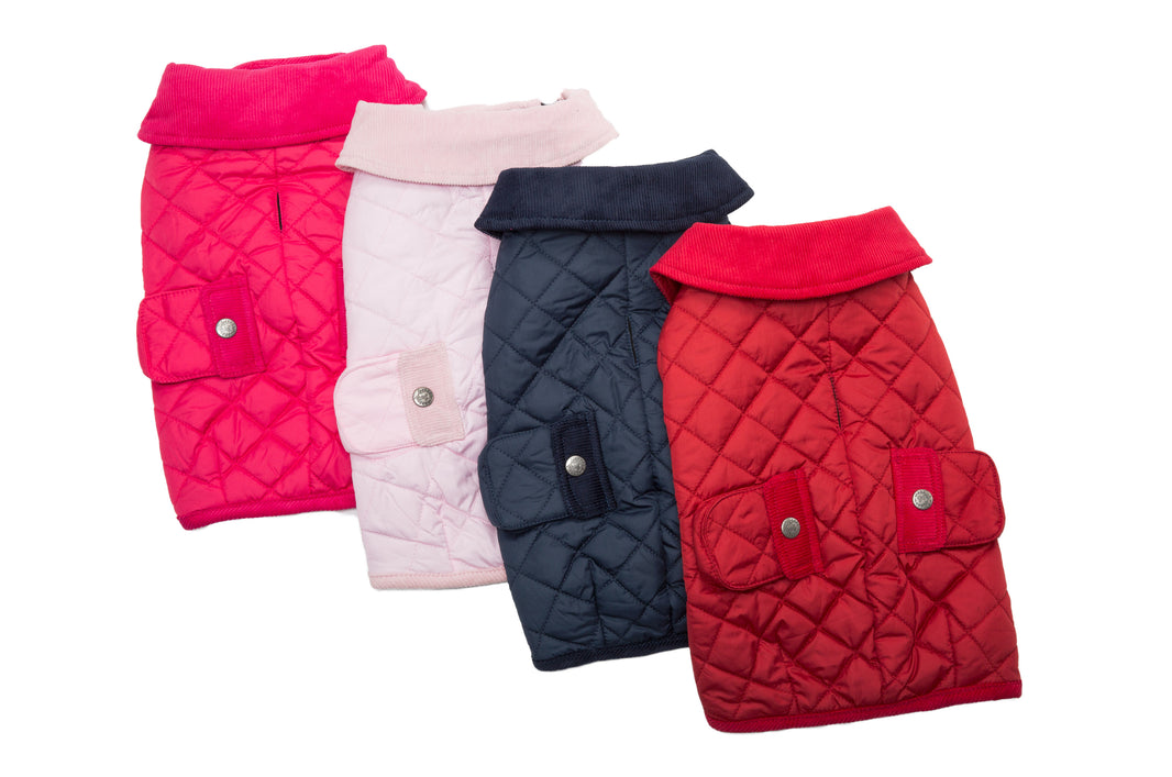 Dog Coats: Luxury, Trendy Boutique | Canine Styles - New York, NY