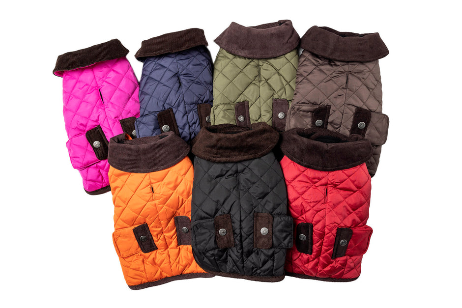 Dog Coats: Luxury, Trendy Boutique | Canine Styles - New York, NY