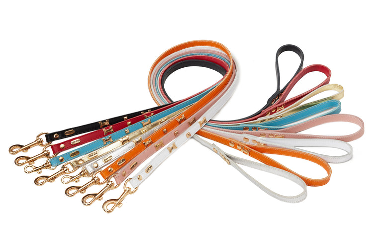 Collections – Canine Styles