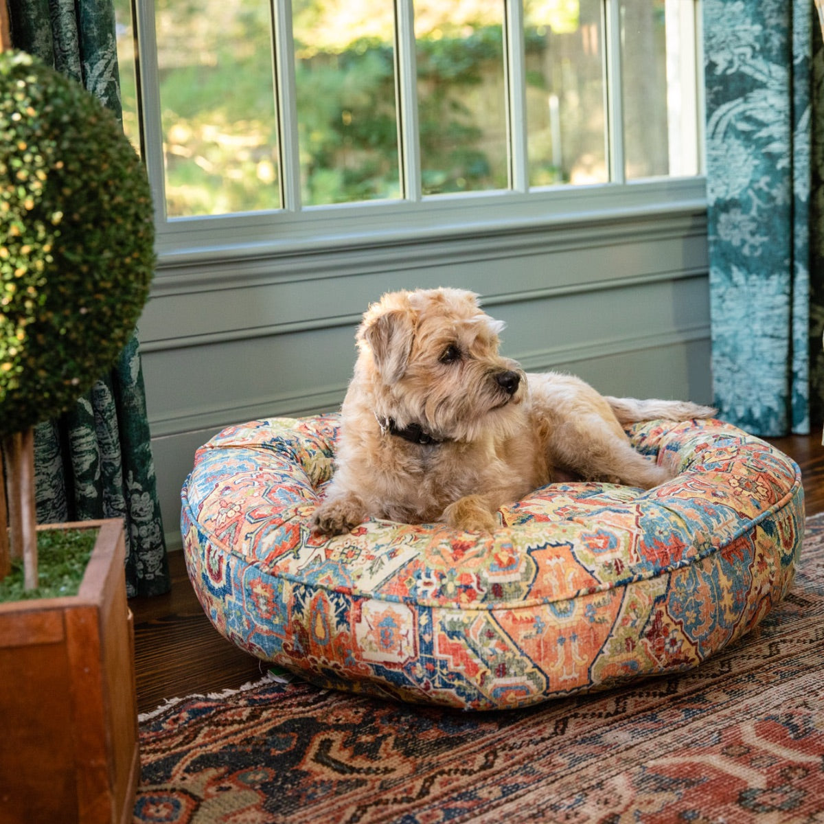 Canine Styles: a Lifestyle Brand for dogs!