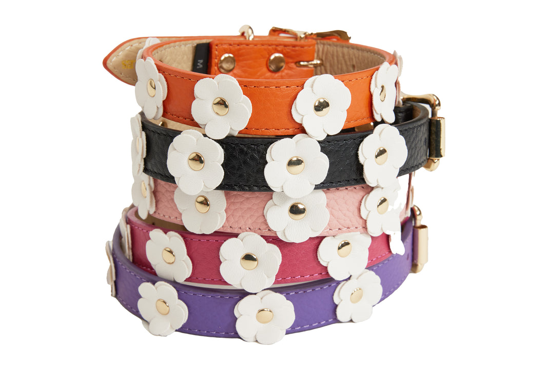 Dog Collars, Harnesses, Leads | Canine Styles est. 1959 – tagged "collars"