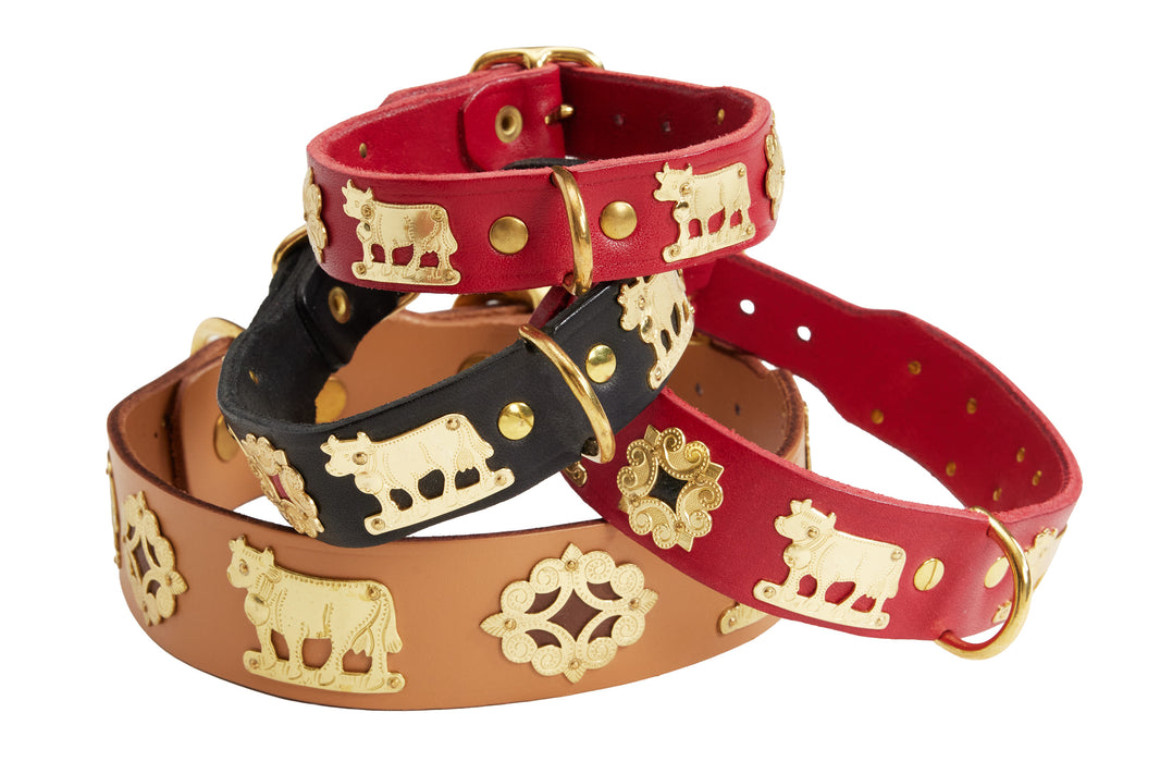 Canine Styles: a Lifestyle Brand for dogs!