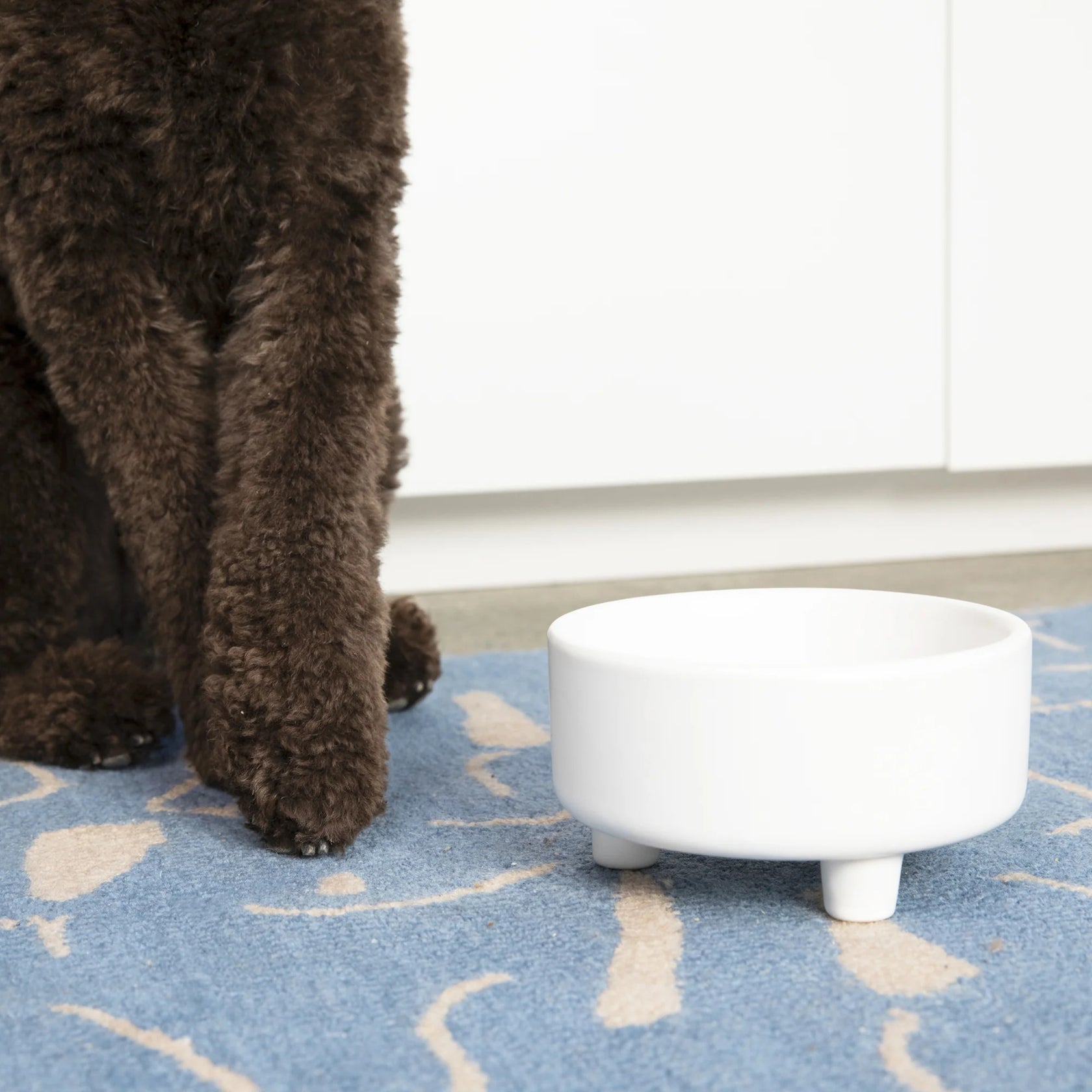 Footed Ceramic Dog Bowls - 2 Sizes – Canine Styles
