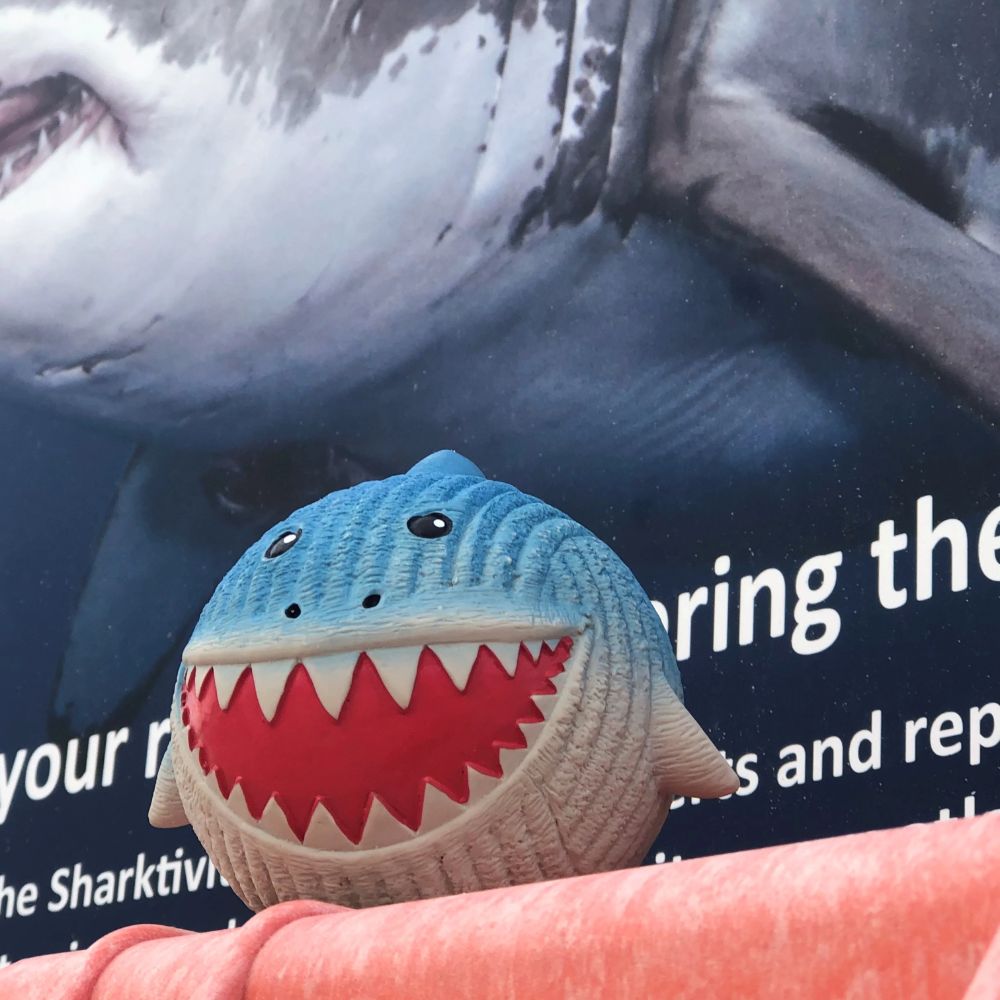 Dog Toy - Latex Finn the Shark Ruff-Tex® – Canine Styles