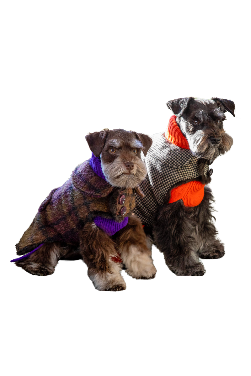 Dog Coats: Luxury, Trendy Boutique | Canine Styles - New York, NY