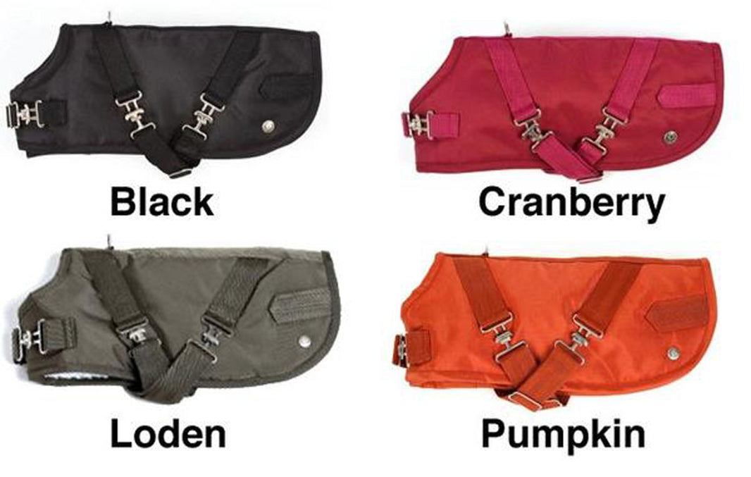 Canine Styles: a Lifestyle Brand for dogs!