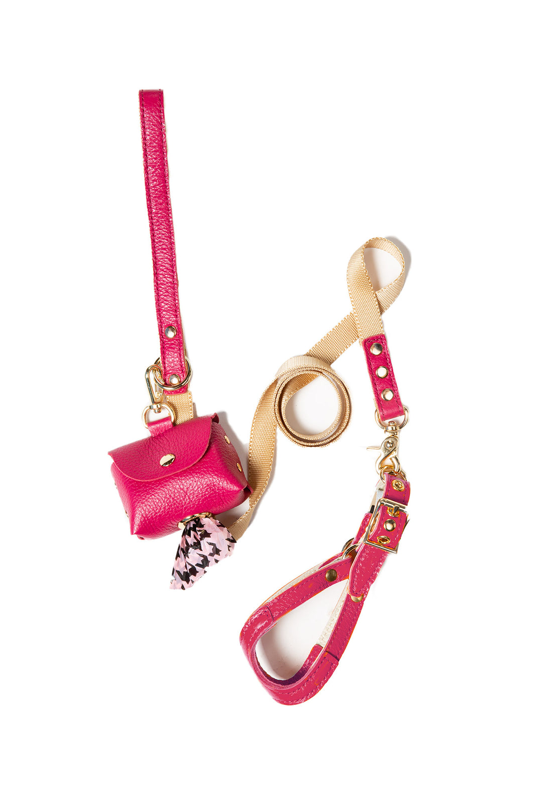 Canine Styles: a Lifestyle Brand for dogs!