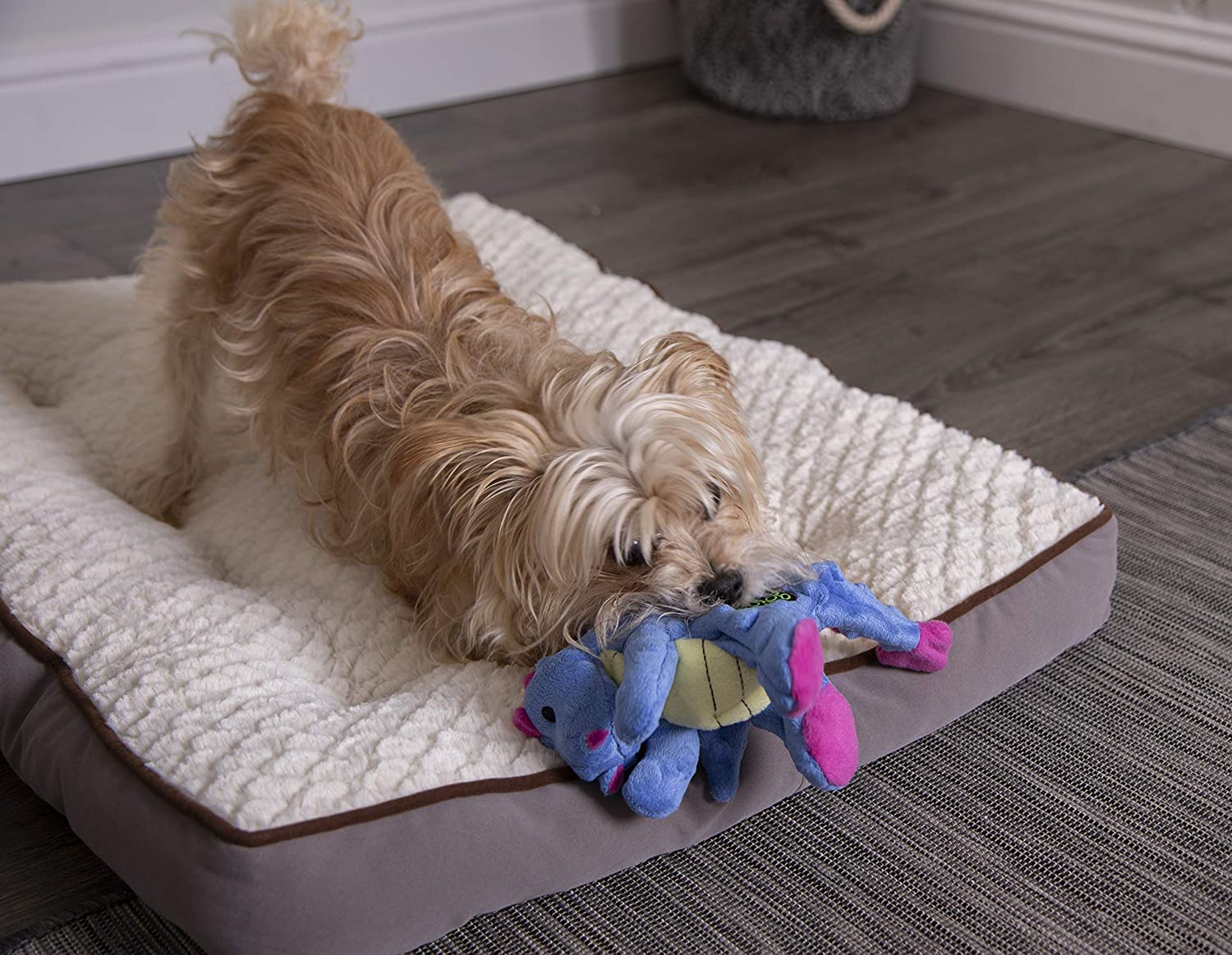 Periwinkle Dragon - Chew Guard Dog Toy – Canine Styles