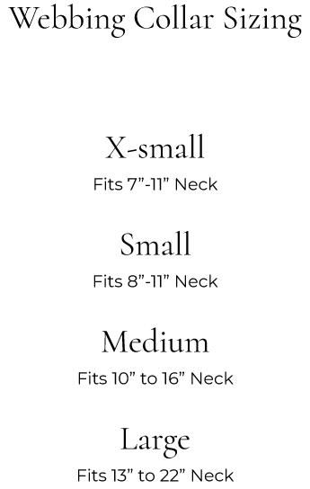 Red Gingham Dog Collection on Black Webbing – Canine Styles